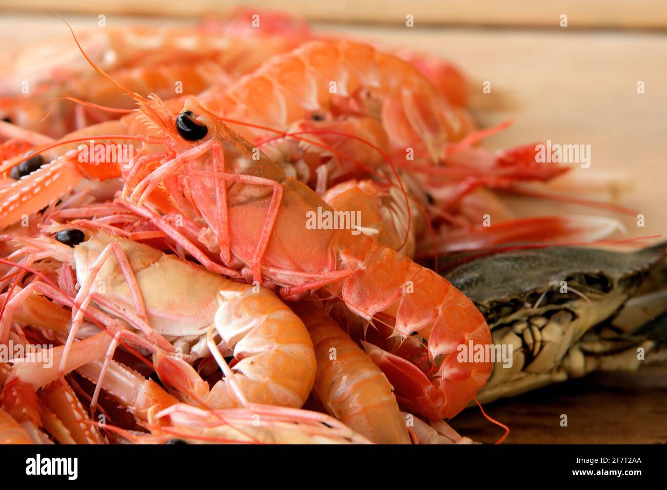 crayfish, fresh ready for cooking Stock Photo - Alamy
