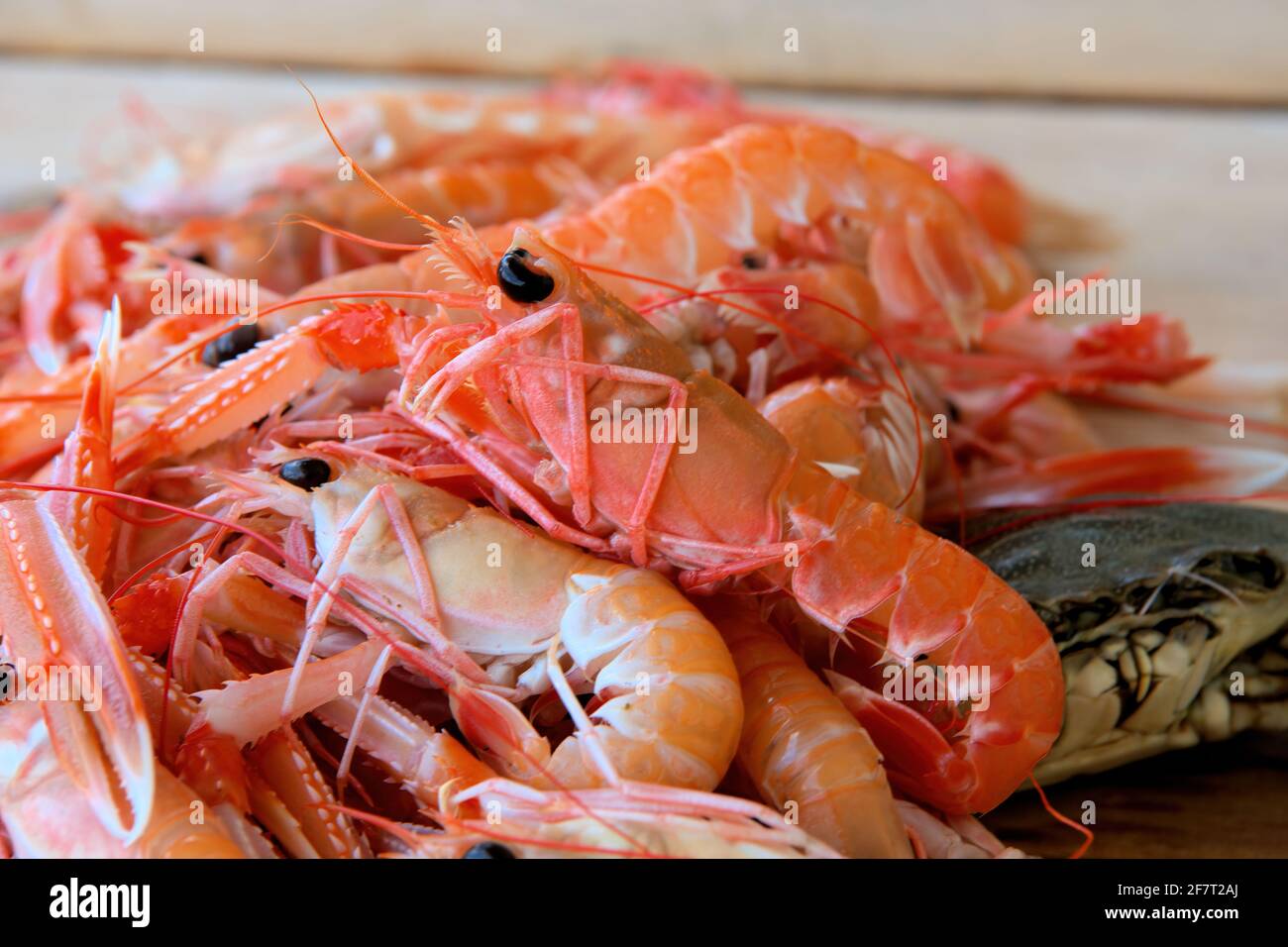 crayfish, fresh ready for cooking Stock Photo - Alamy