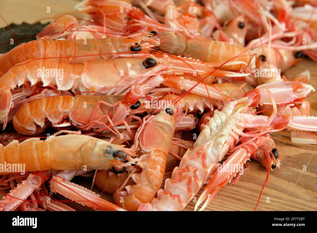 crayfish, fresh ready for cooking Stock Photo - Alamy