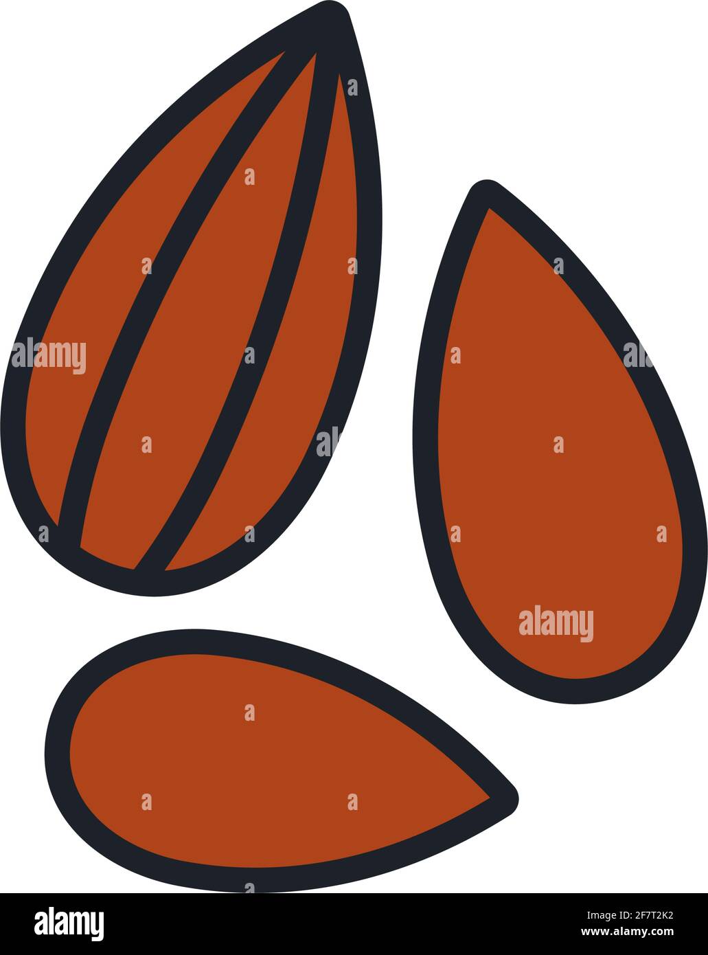 Almond icon. Linear color icon of nuts, contour, shape, outline ...