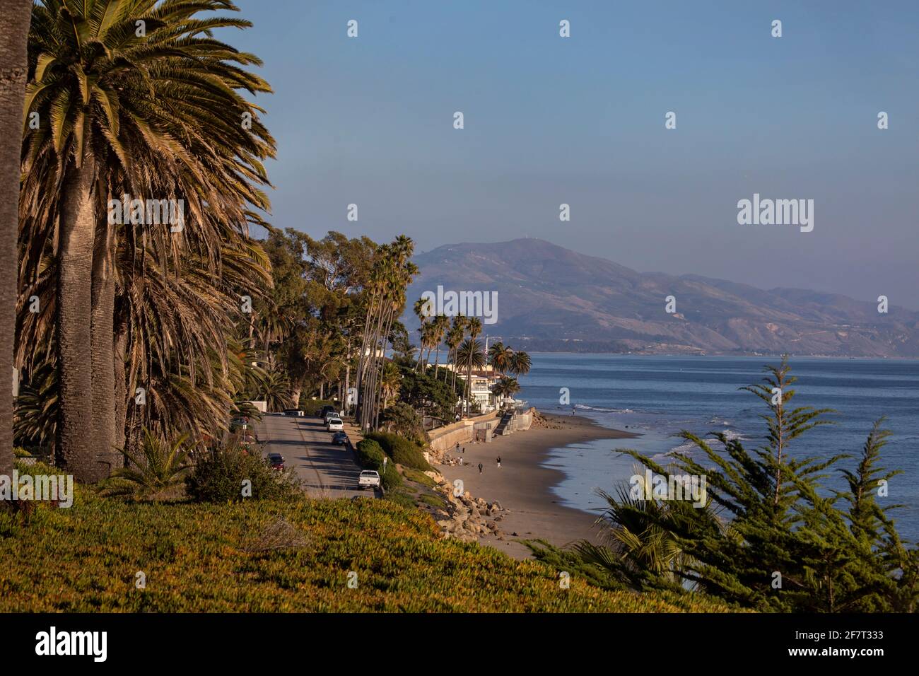Butterfly beach hi-res stock photography and images - Alamy