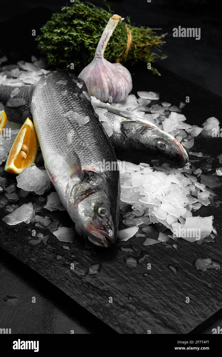 Raw fresh organic dorado or sea bream on ice cubes over black slate ...