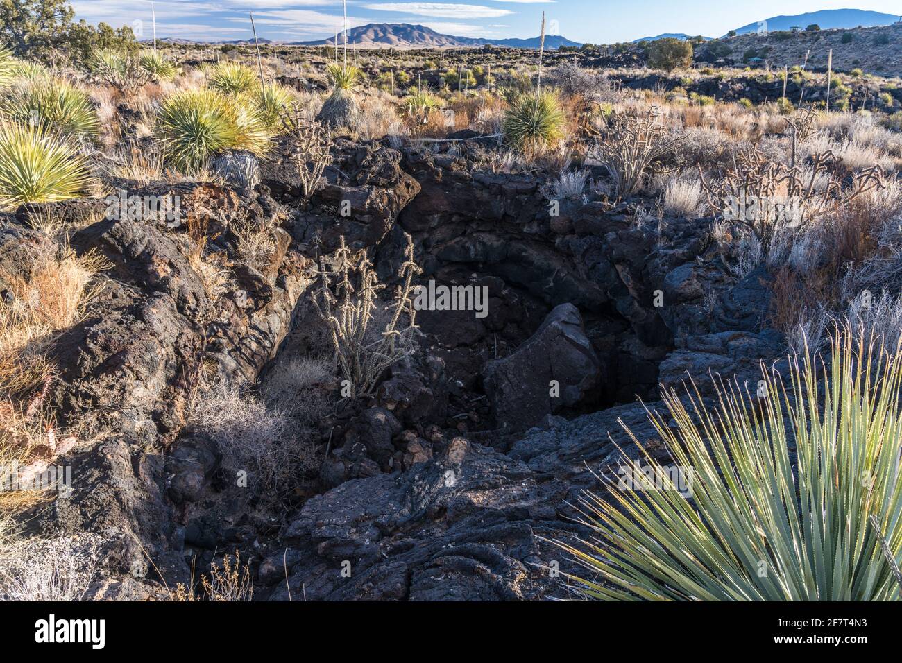 Collapsed gas bubbles in the hot lava created holes in the surface of ...