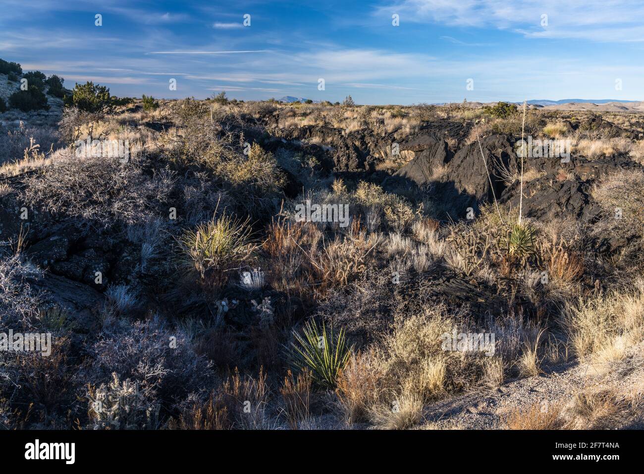 Collapsed gas bubbles in the hot lava created holes in the surface of ...
