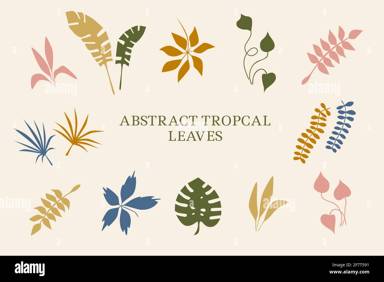 Tropical plants, leaves. Summertime nature objects. Jungle, modern ...