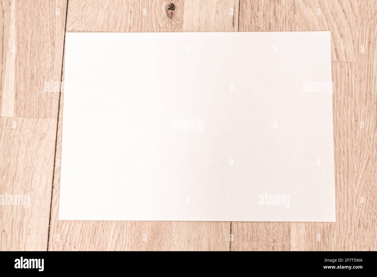 A4 paper card on the floor with panels, copyspace Stock Photo - Alamy