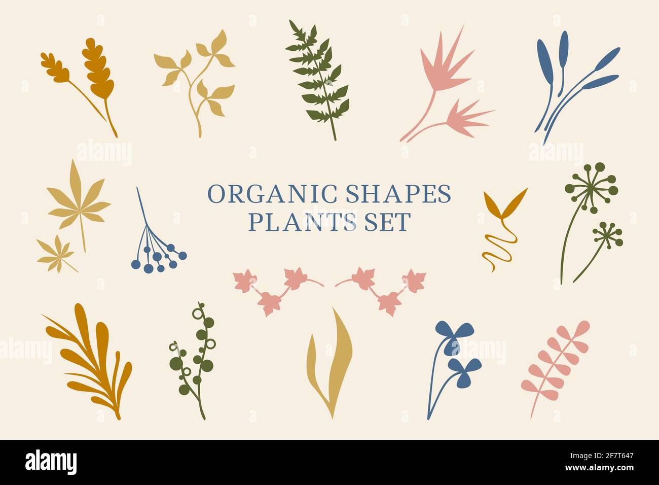Set of abstract plants, leaves, organic shapes. Hand drawn minimalistic ...