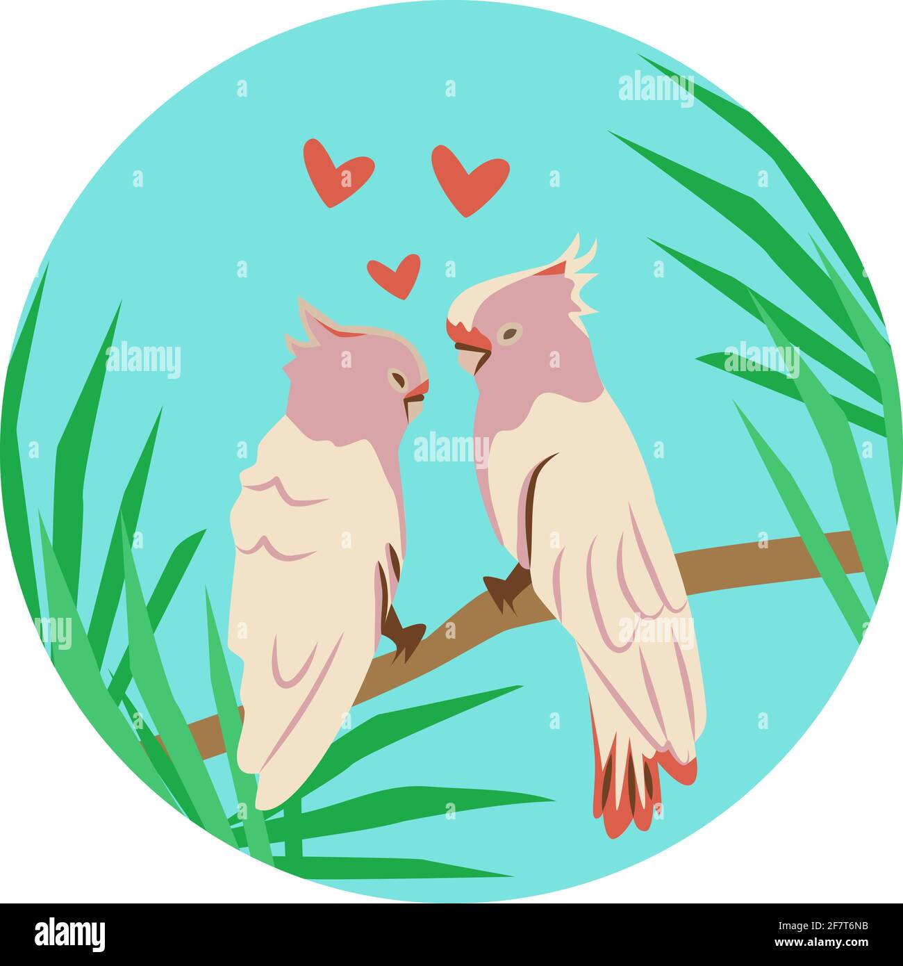 vector illustration, two parrots male and female are sitting on a ...