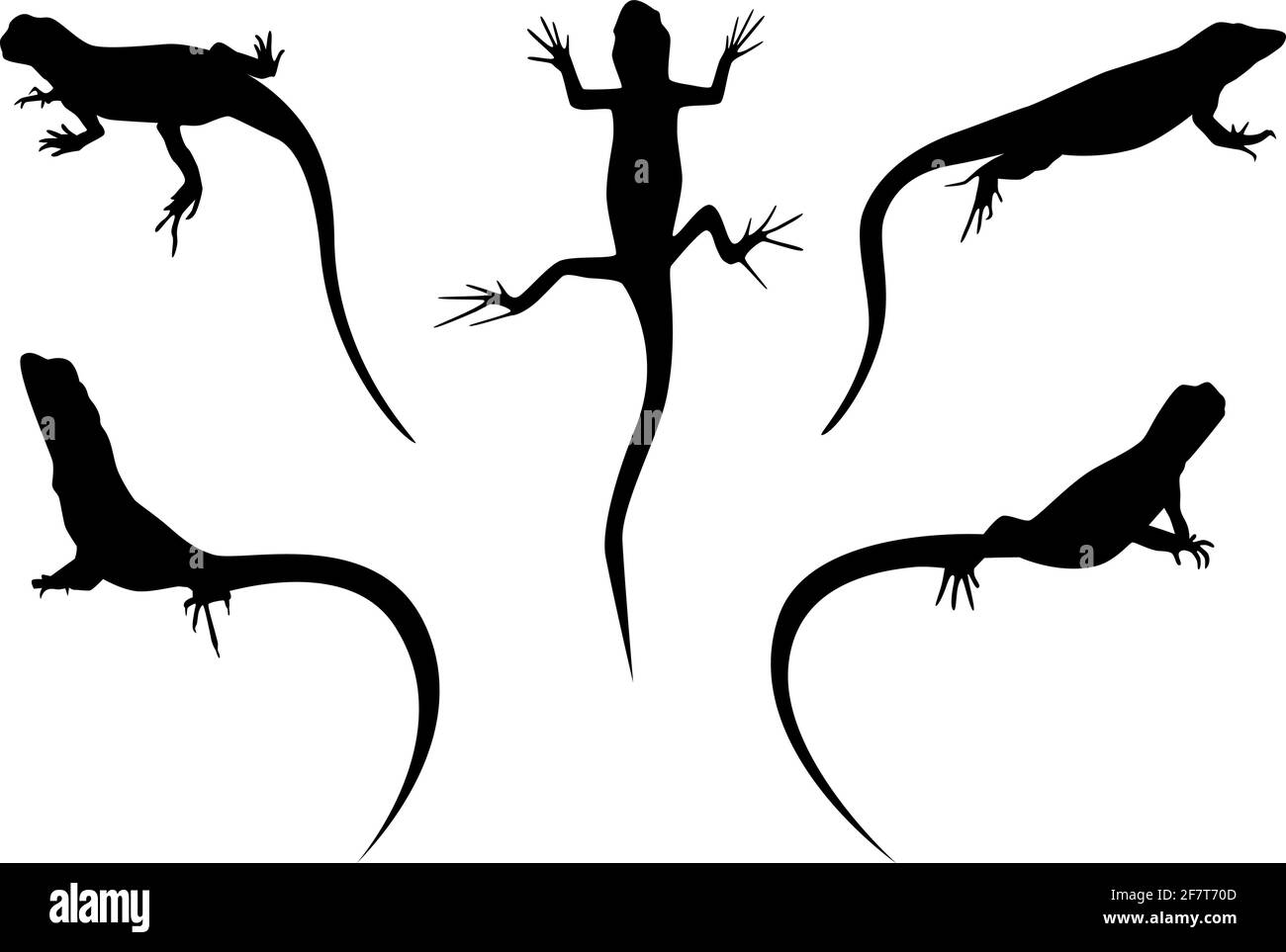 set of lizards black silhouette vector illustration isolated Stock ...