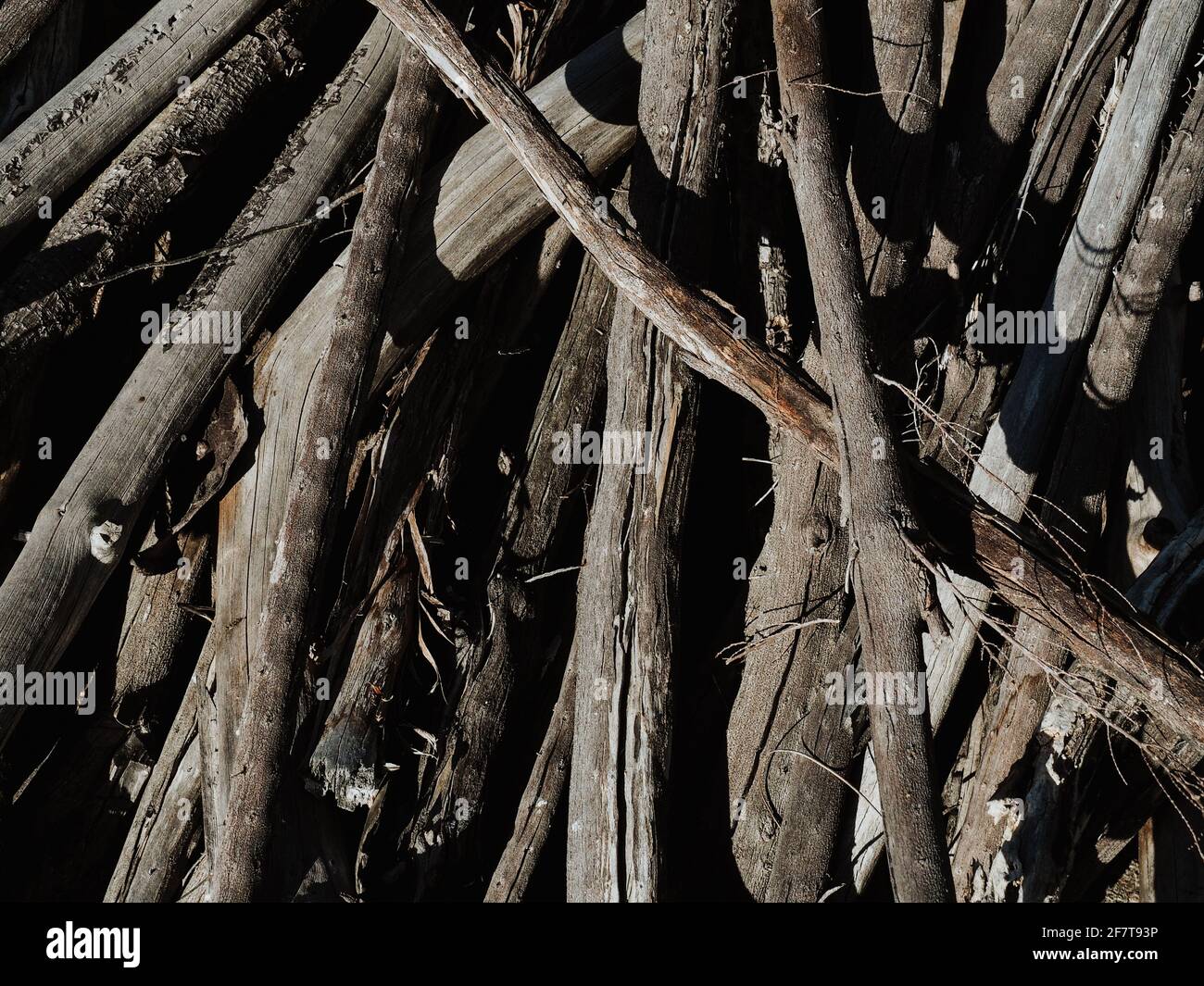 Pile of tree branches Stock Photo - Alamy