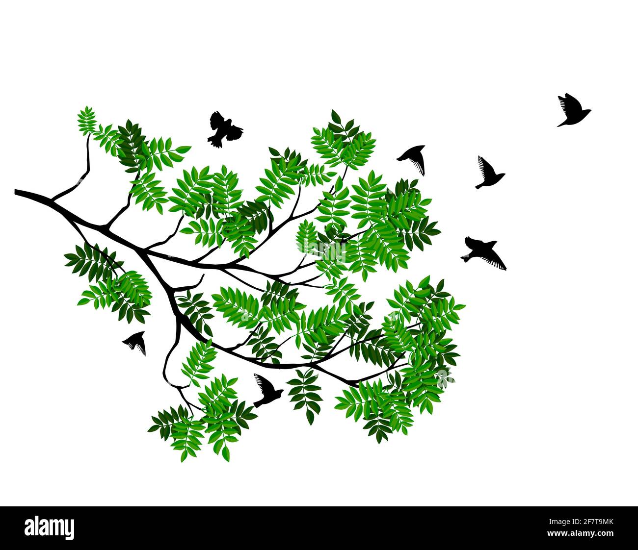 Selective cover Stock Vector Images - Alamy
