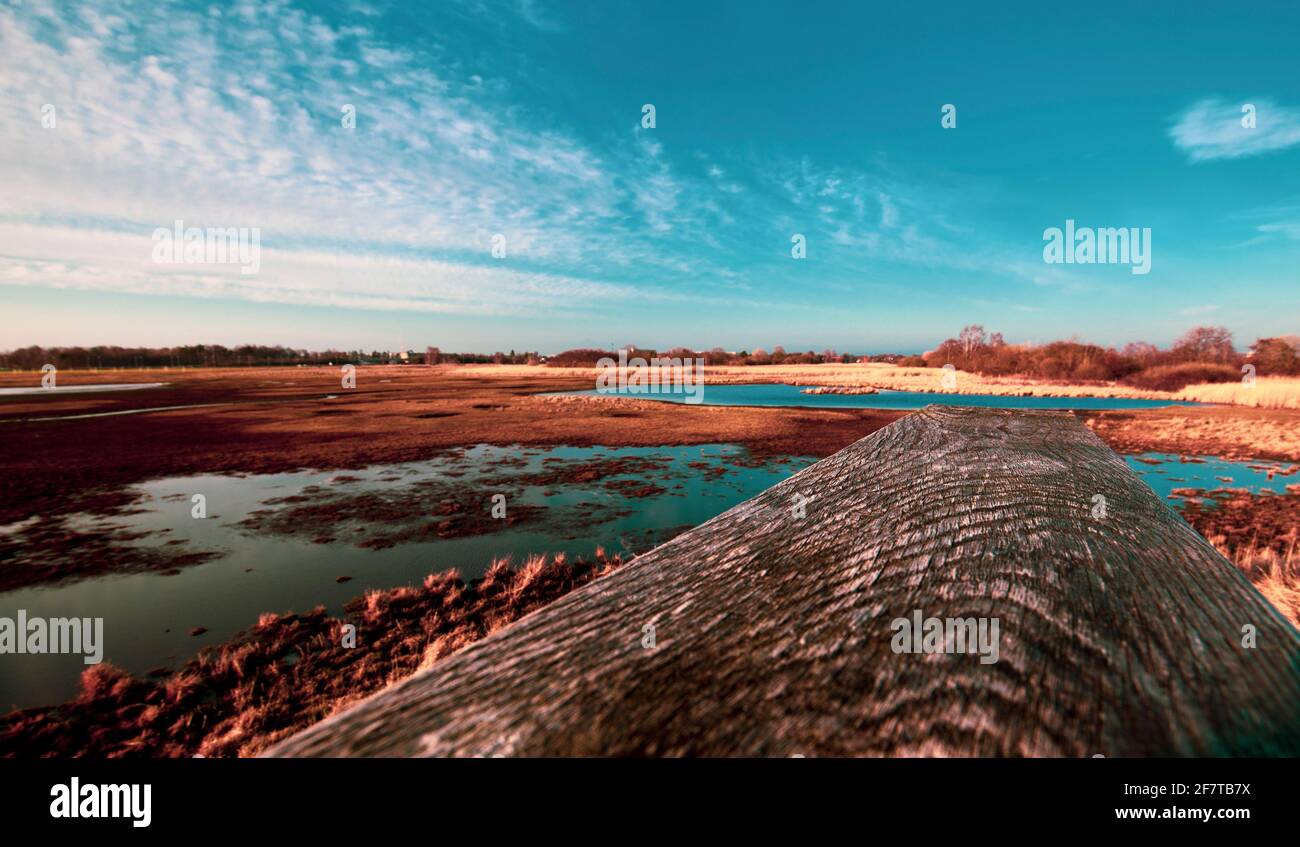 Natural park area of Ishoj Denmark Stock Photo - Alamy