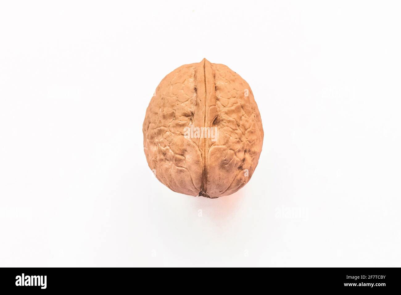 A whole small brown walnut on a white background, isolated Stock Photo ...