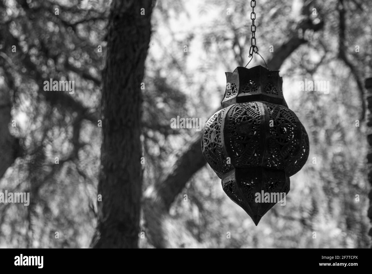 Lamp hanging from a chain hi-res stock photography and images - Alamy