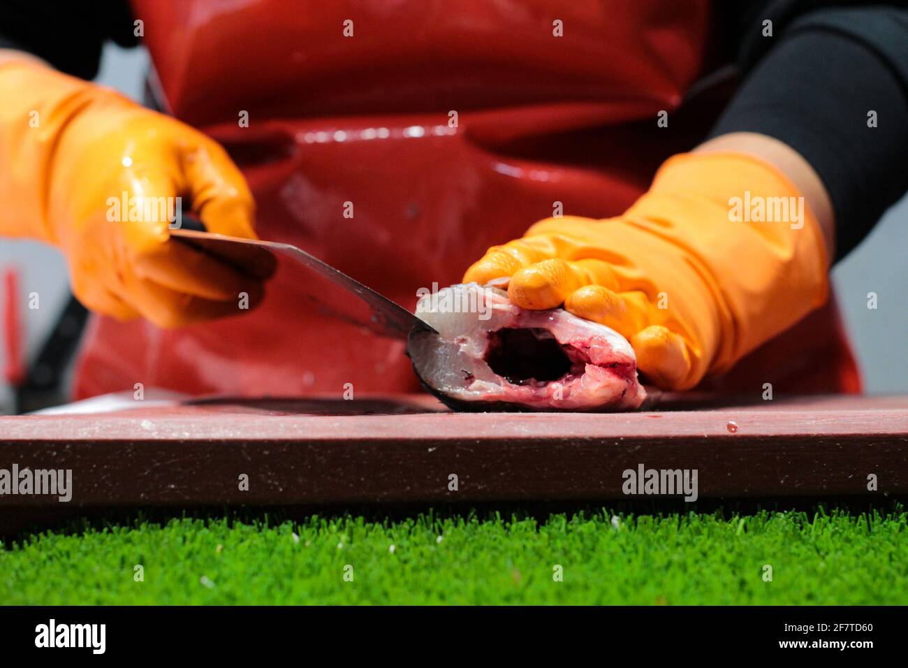 Underwater cutting hi-res stock photography and images - Alamy