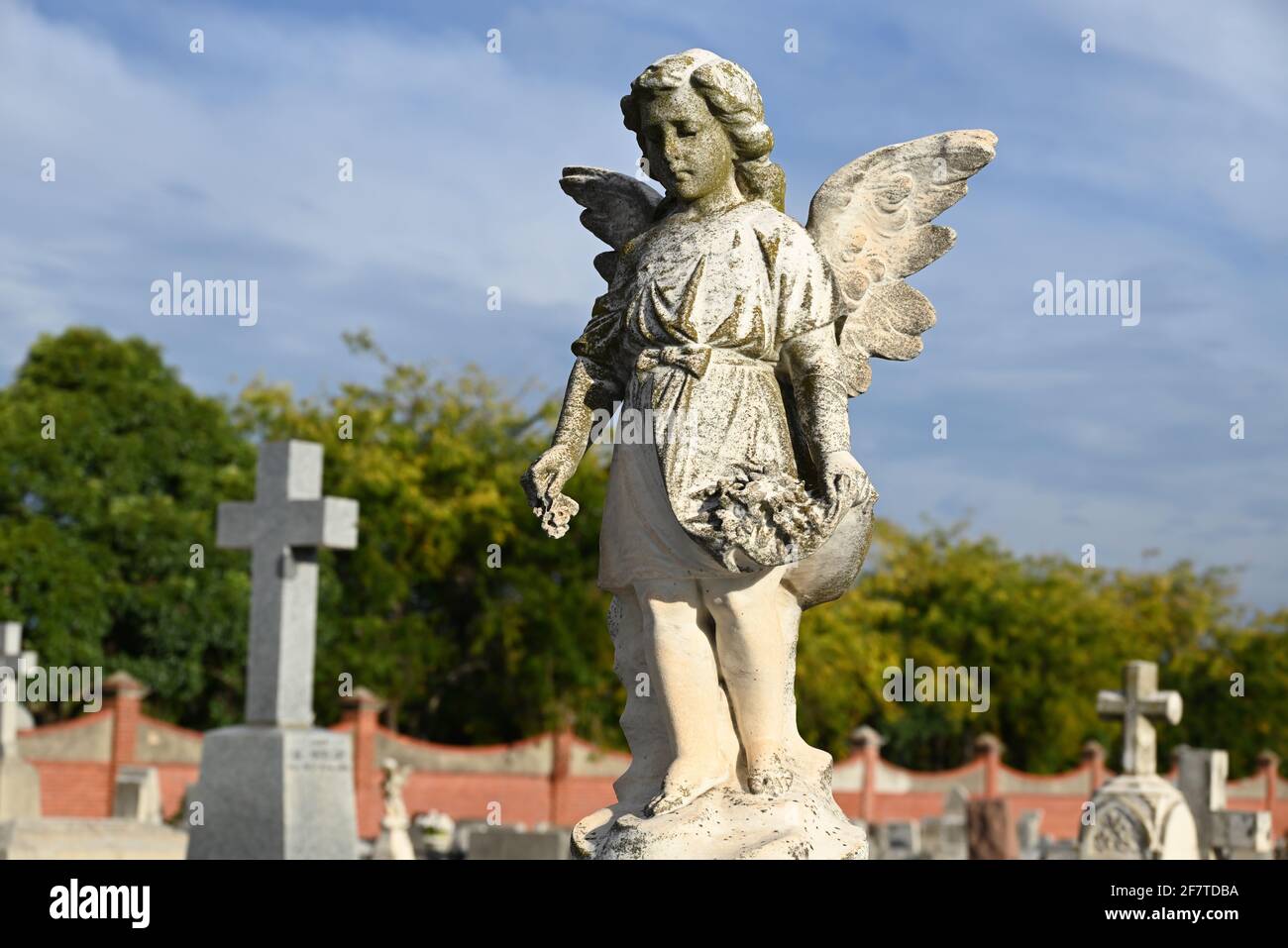 A weathered stone sculpture of a child angel looking down mournfully ...