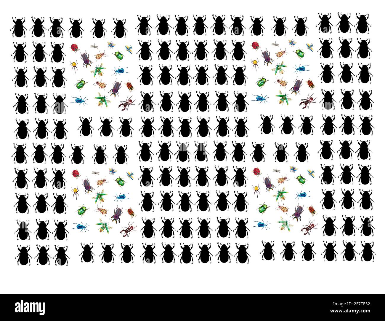 insect and bug patterns for cards fabrics planet Stock Photo - Alamy