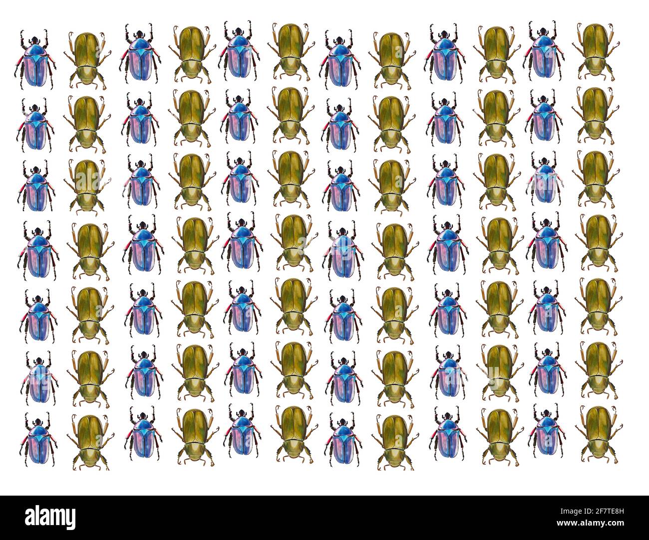 insect and bug patterns for cards fabrics planet Stock Photo - Alamy