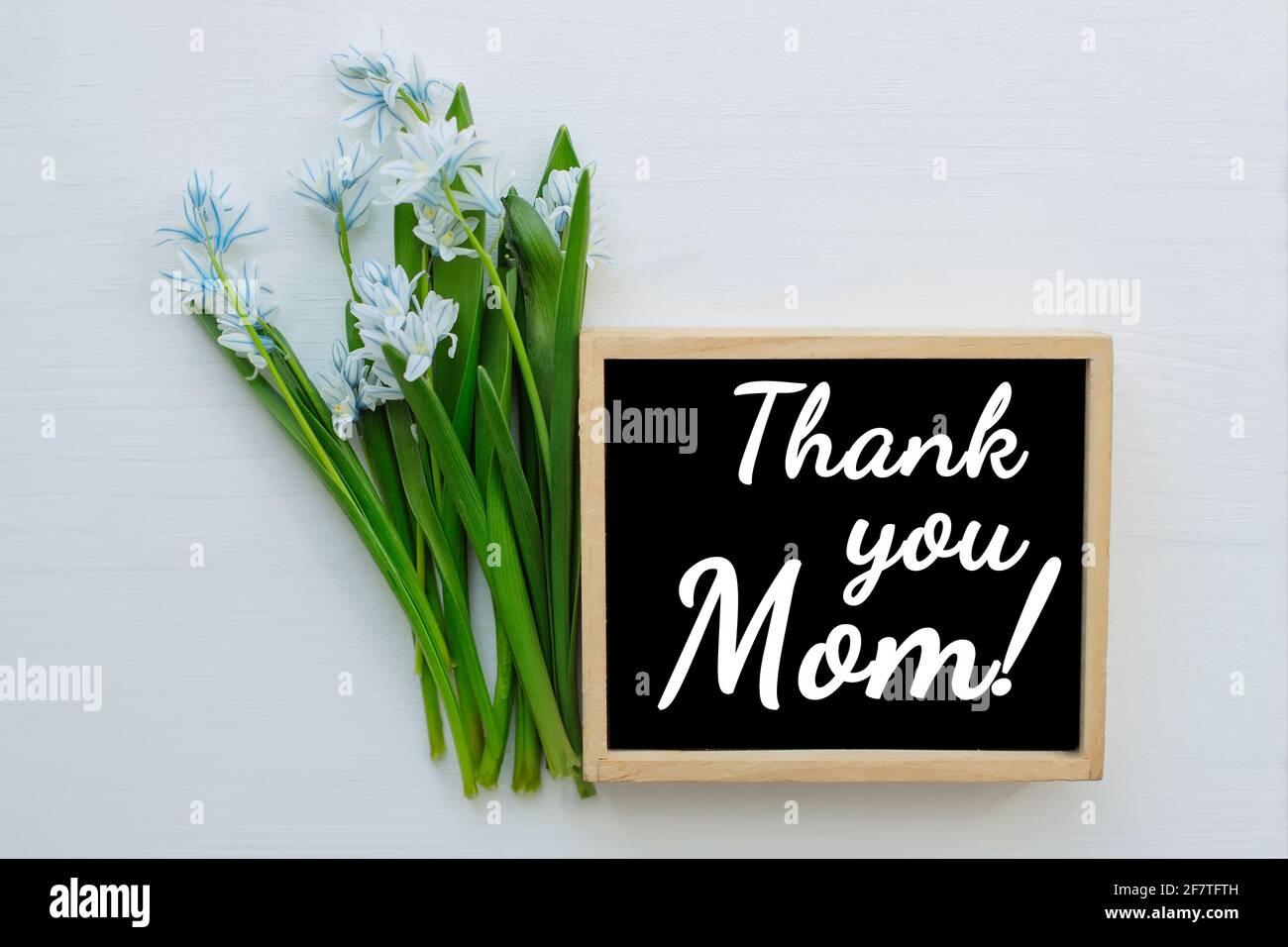 text "Thank you Mom" on black background. bouquet of spring flowers ...