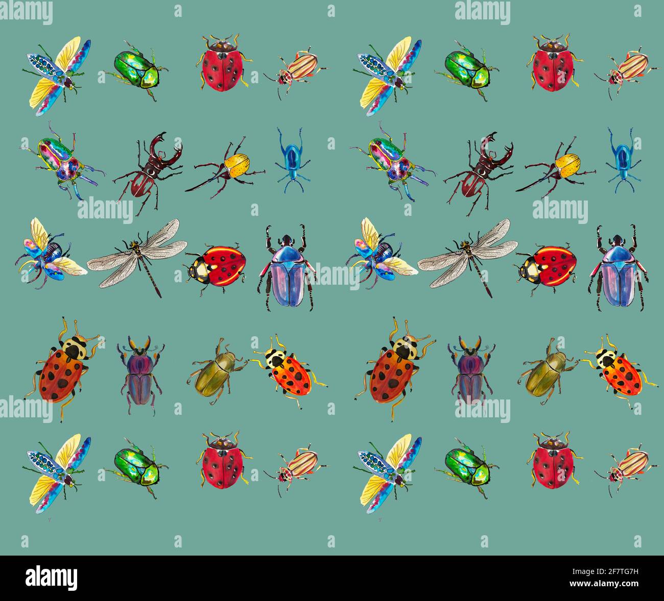 insect and bug patterns for cards fabrics planet Stock Photo - Alamy