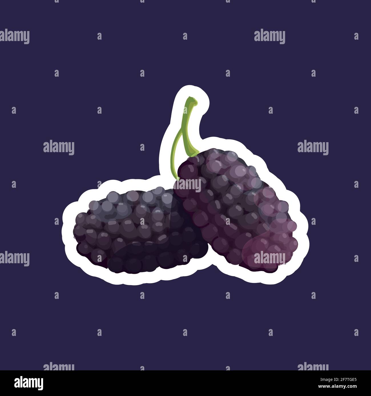 fresh mulberry icon tasty ripe fruit berry healthy food concept Stock ...