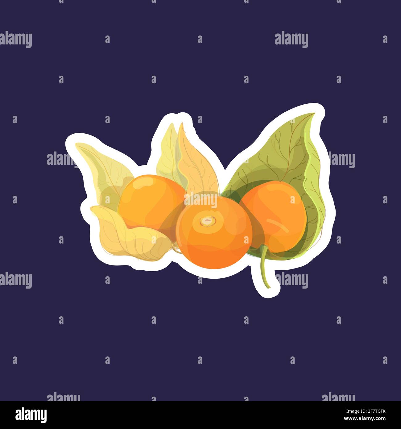 fresh juicy physalis sticker tasty ripe exotic fruit healthy food ...