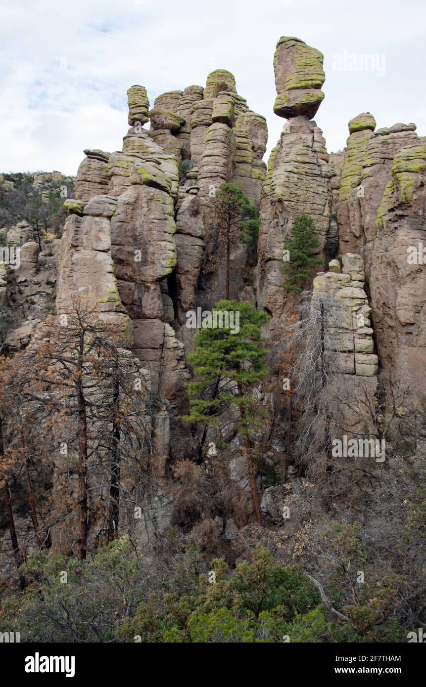 Chiricahua mountains hi-res stock photography and images - Alamy