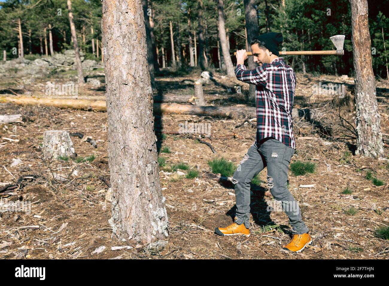 Strong woodcutter chopping wood in hi-res stock photography and images ...