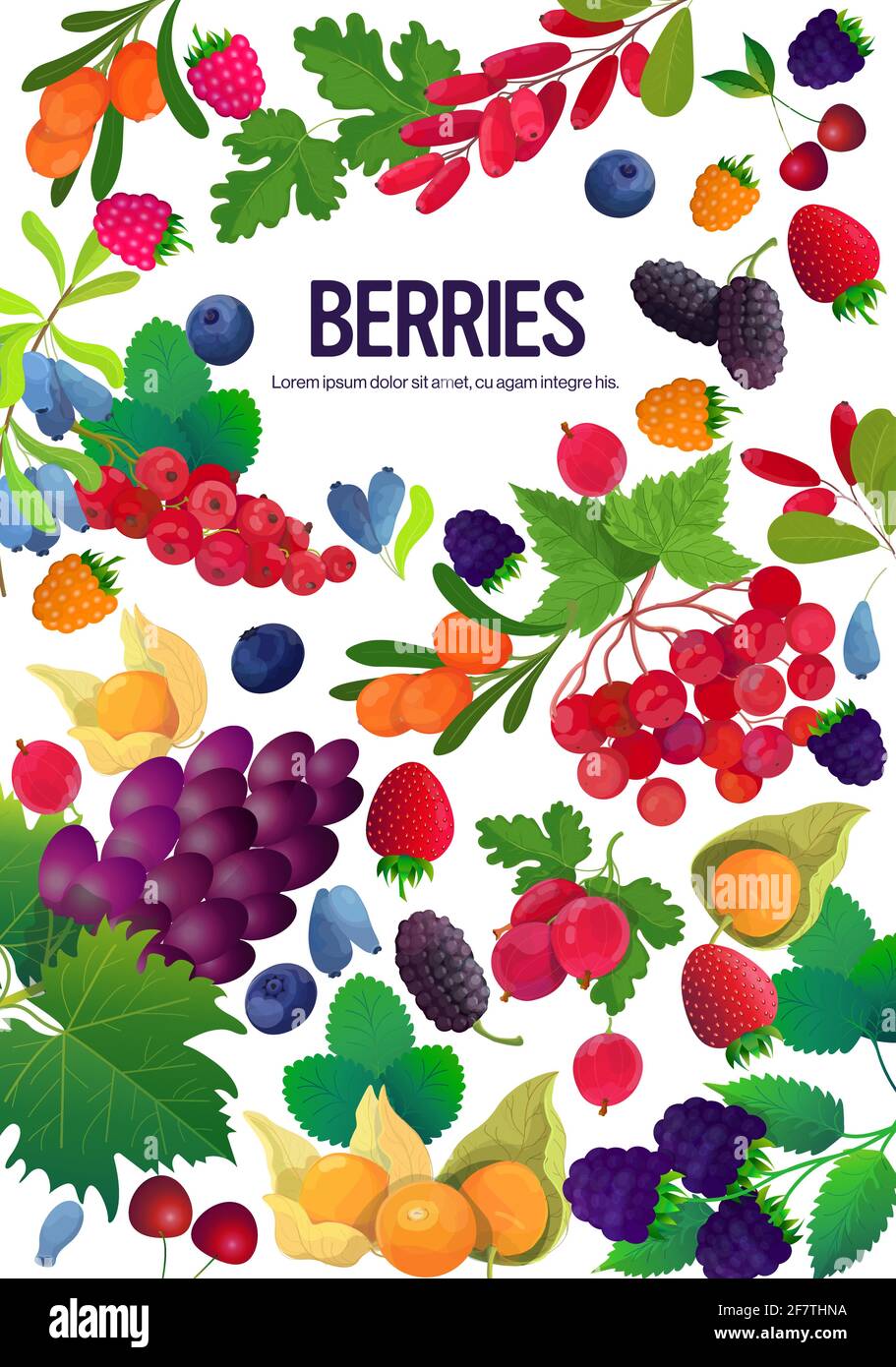 Mulberry leaves Stock Vector Images - Alamy