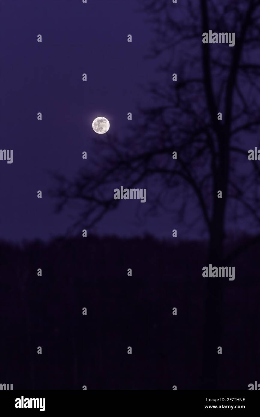 Moon night sky real hi-res stock photography and images - Alamy