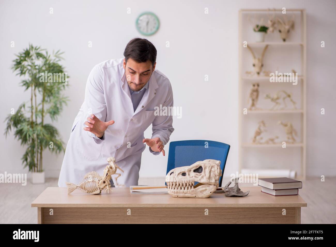 Young student paleontologist examining ancient animals at lab Stock ...