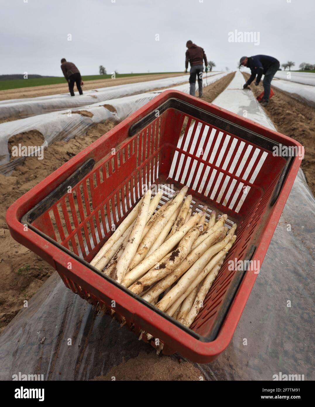 Josef reinhart hi-res stock photography and images - Alamy