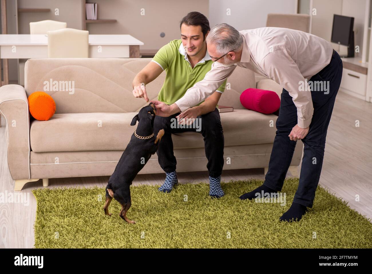 Two men with dog in the room Stock Photo - Alamy