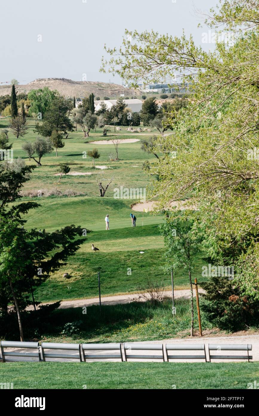 Group of people having fun at the golf course Stock Photo - Alamy