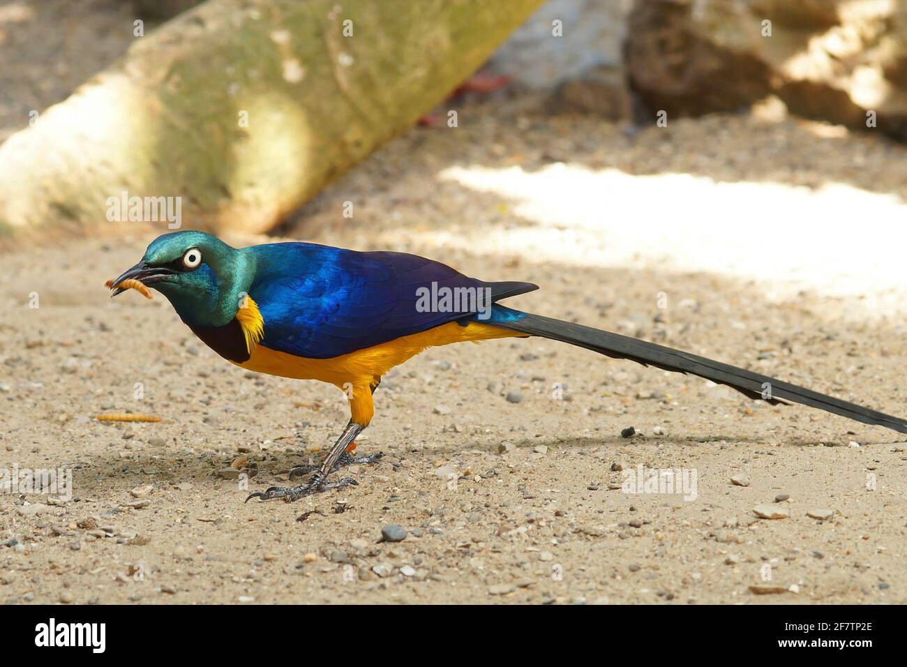 Parc paradisio hi-res stock photography and images - Alamy