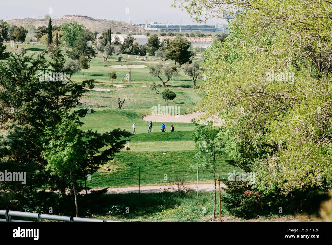 Group of people having fun at the golf course Stock Photo - Alamy