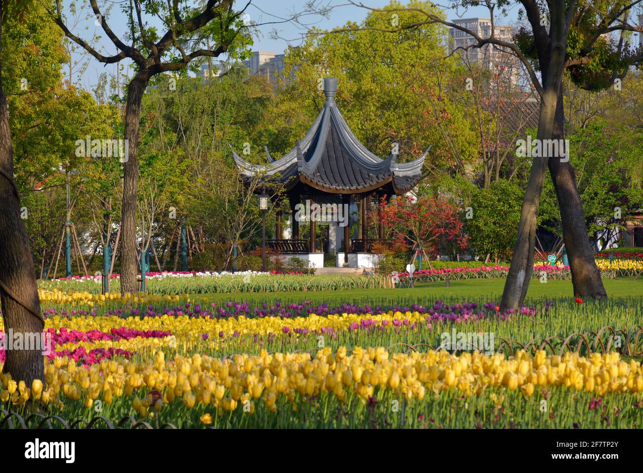 Bright and vibrant colours of spring in a Chinese public park. This one ...