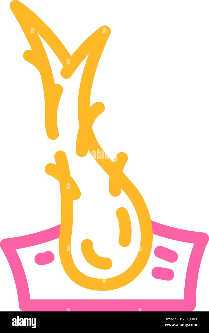 Split ends hair Stock Vector Images - Alamy