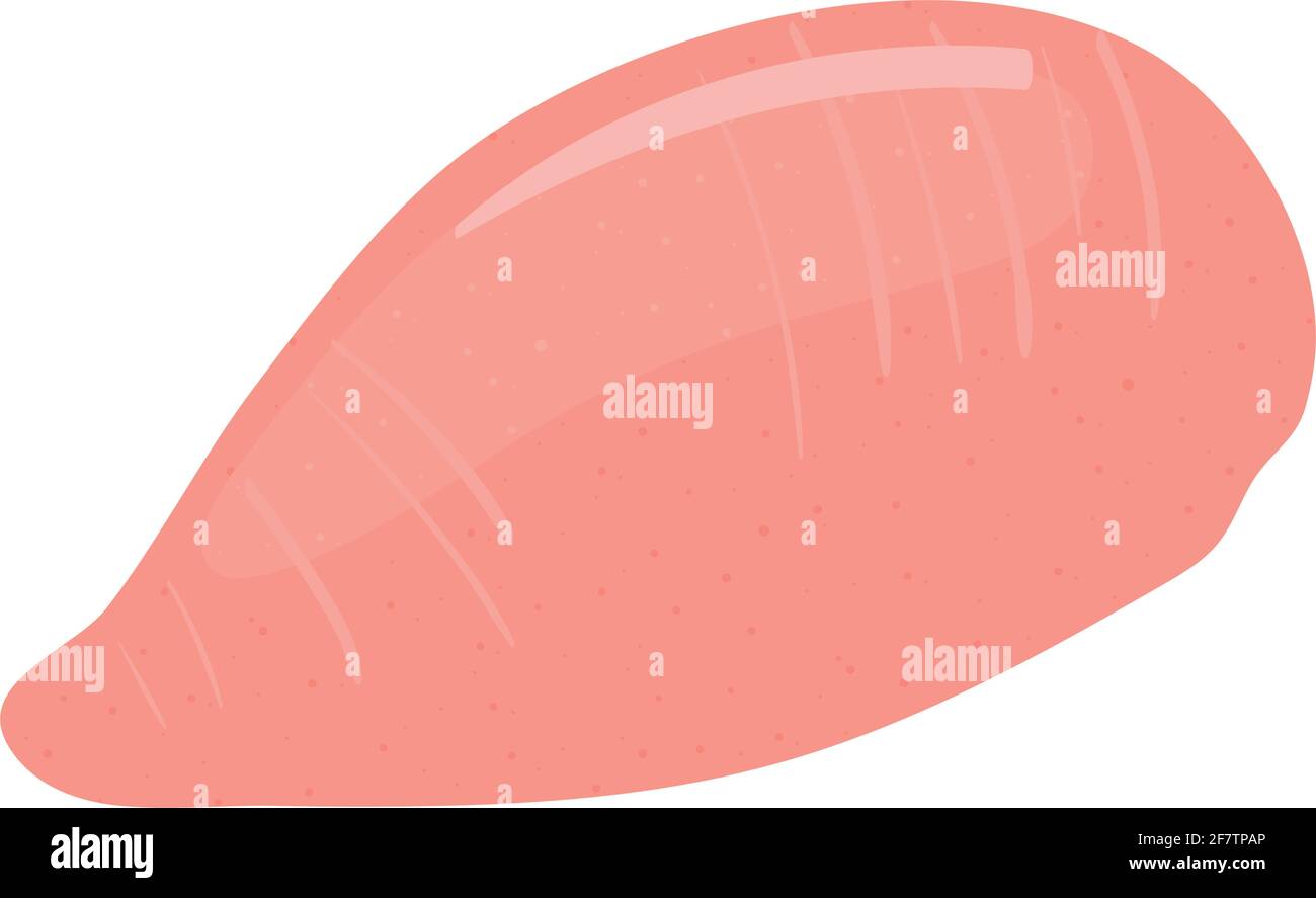 Boneless chicken fillet Stock Vector Images - Alamy