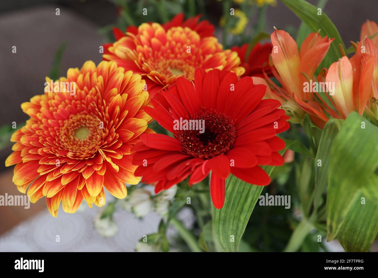 Bouquet bright gerberas other hi-res stock photography and images - Alamy