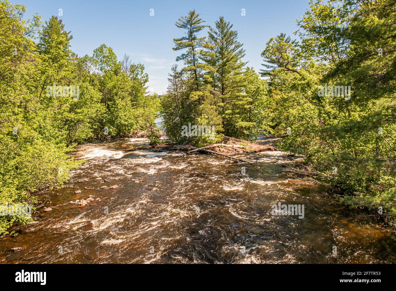 Eau Claire Gorge and waterfalls Calvin Ontario Canada in summer Stock ...