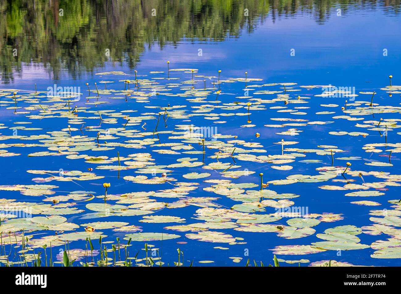 Canadian land hi-res stock photography and images - Alamy