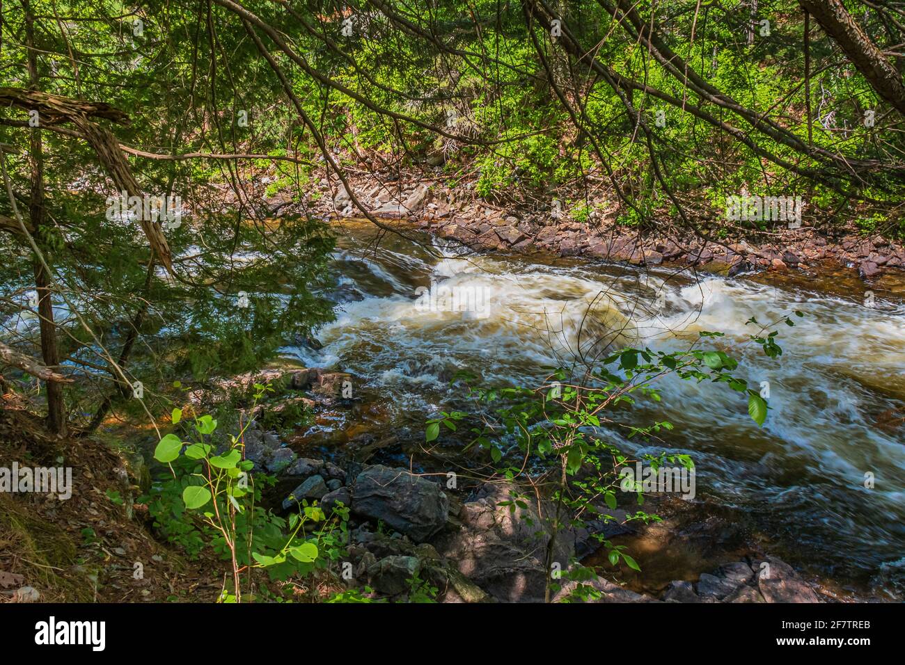Eau Claire Gorge and waterfalls Calvin Ontario Canada in summer Stock ...