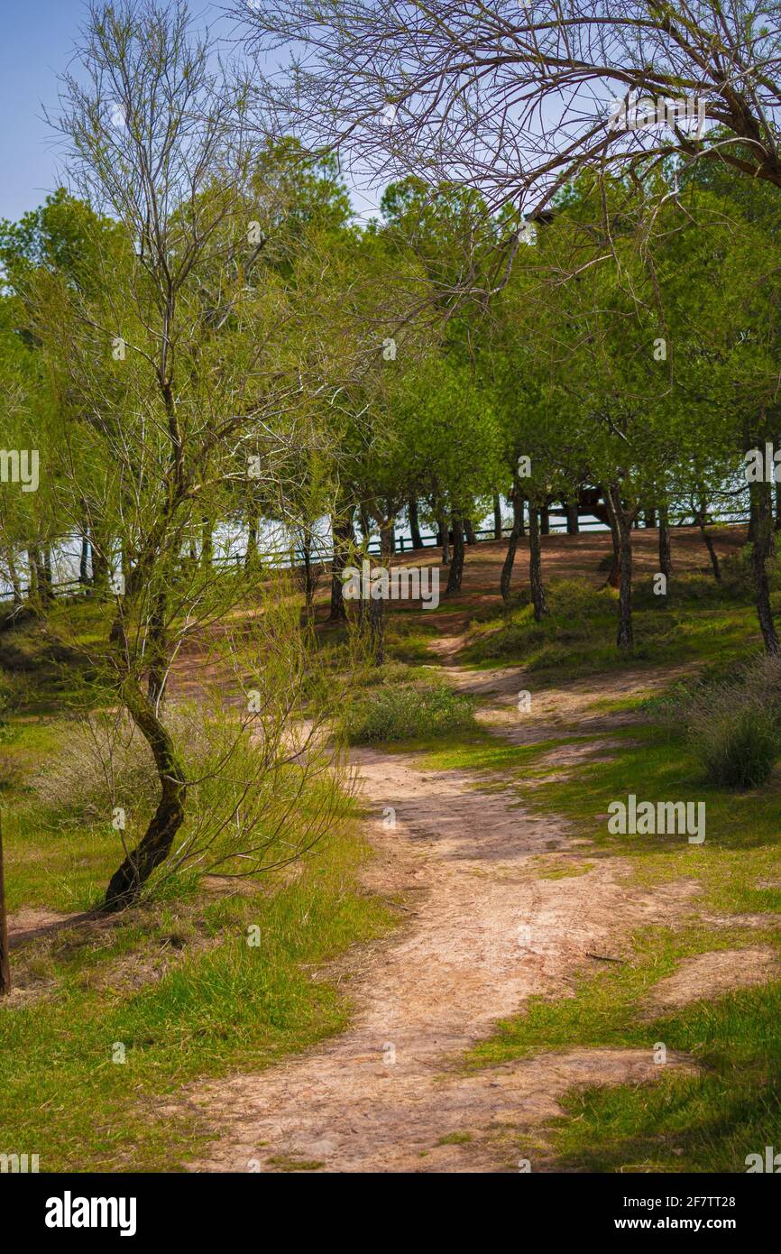 Mesmerizing view of the beauty of the flora and fauna of Laguna de ...