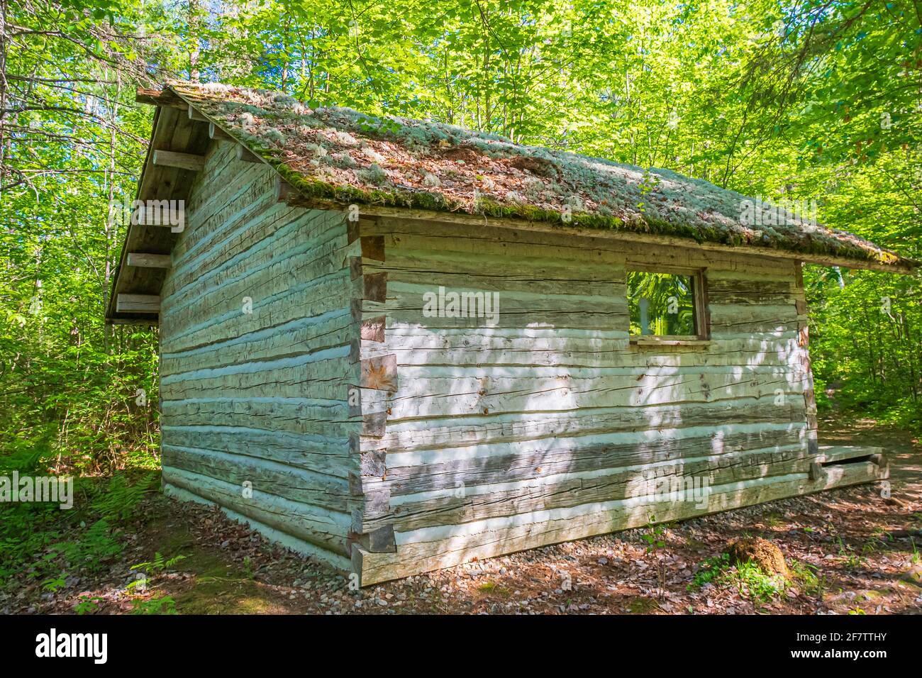 Wood Cabin in the Woods Stock Photo - Alamy