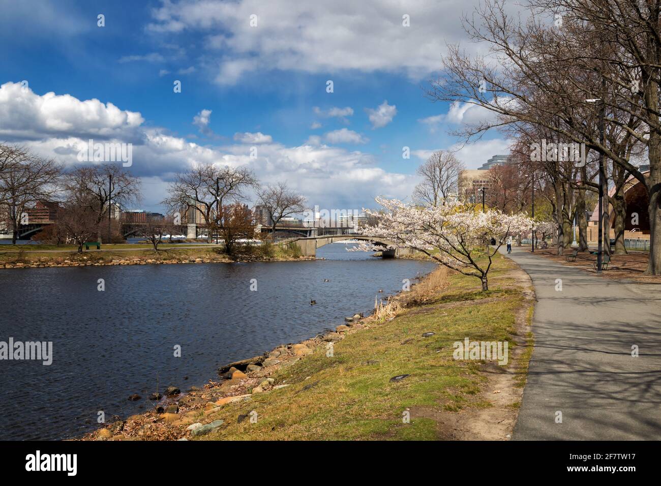 Places of Boston in Spring Stock Photo - Alamy