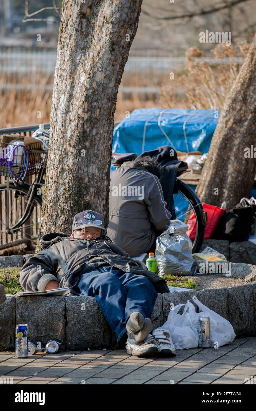 Homeless Japanese male sleeping in sunshine, Ueno Park, Tokyo, Japan ...