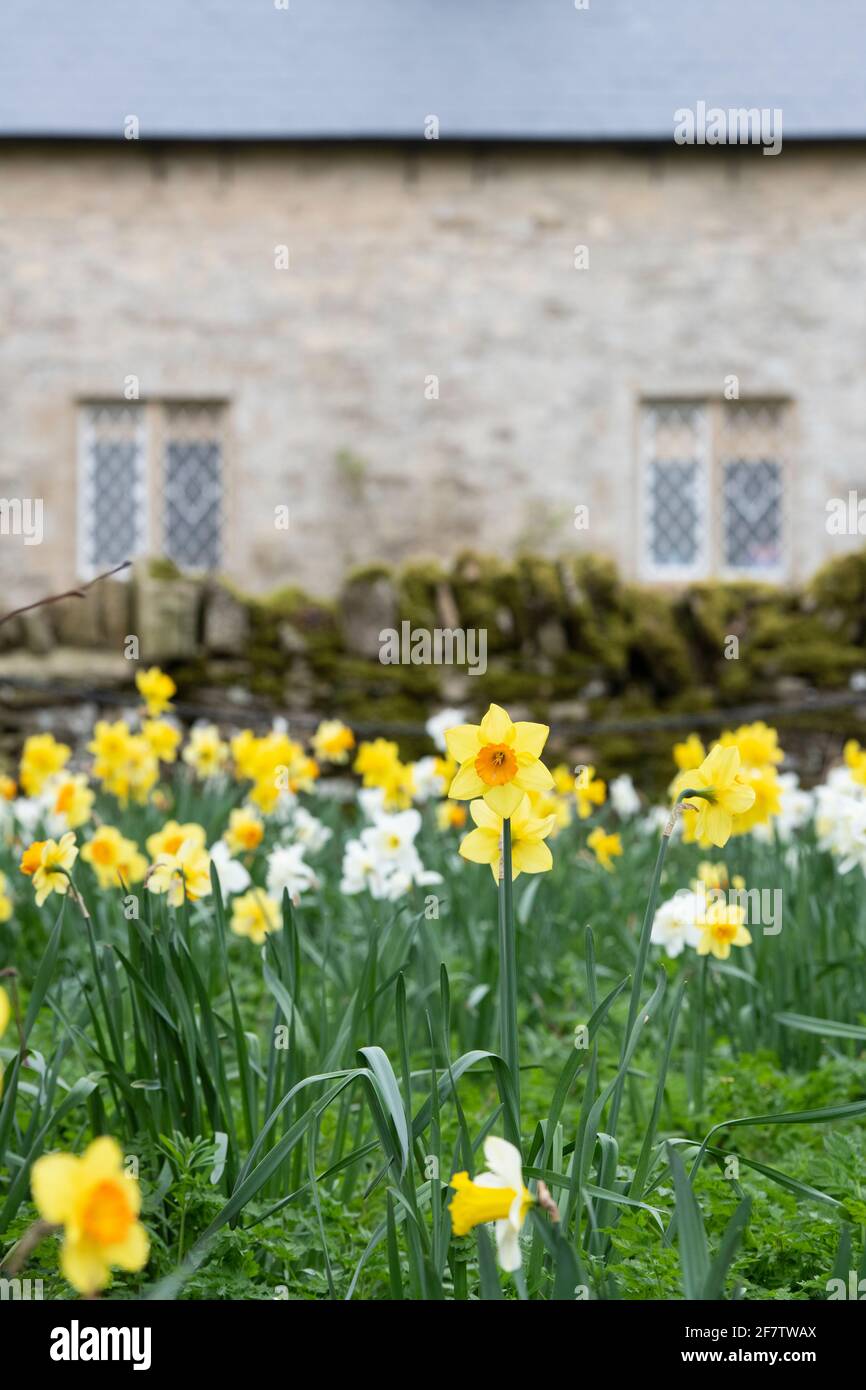 Swinbrook cotswold villages hi-res stock photography and images - Alamy