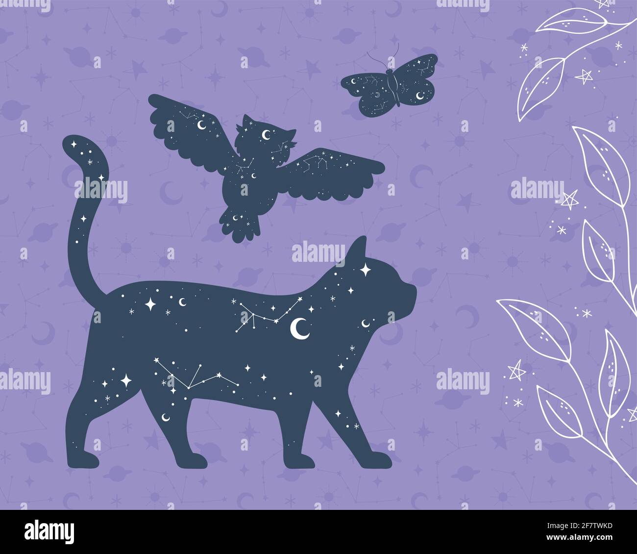 Owl astrology hi-res stock photography and images - Alamy