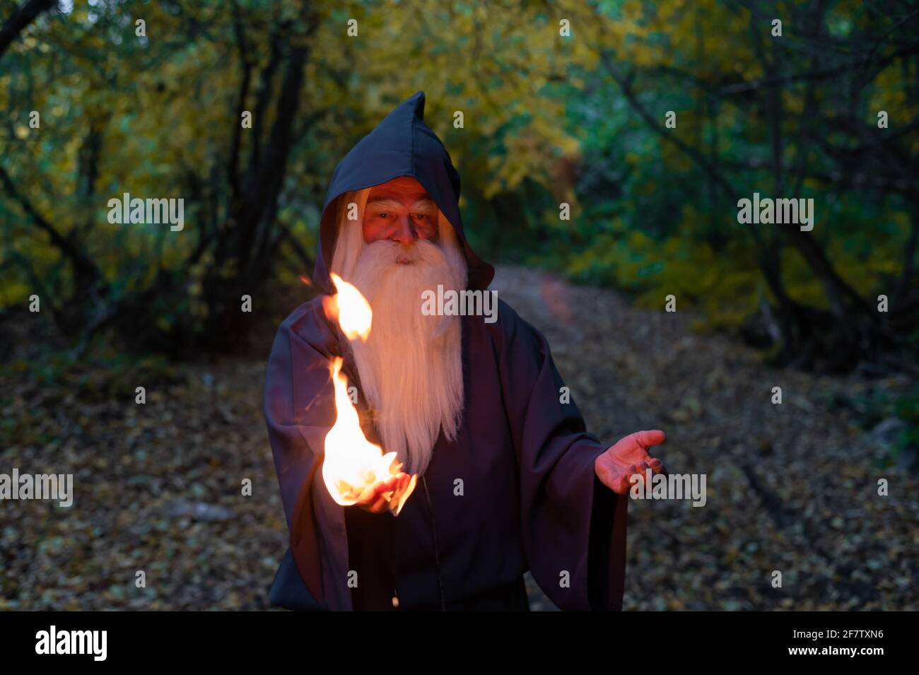 An elderly gray-haired witcher casts a fire spell in the forest. Man in ...